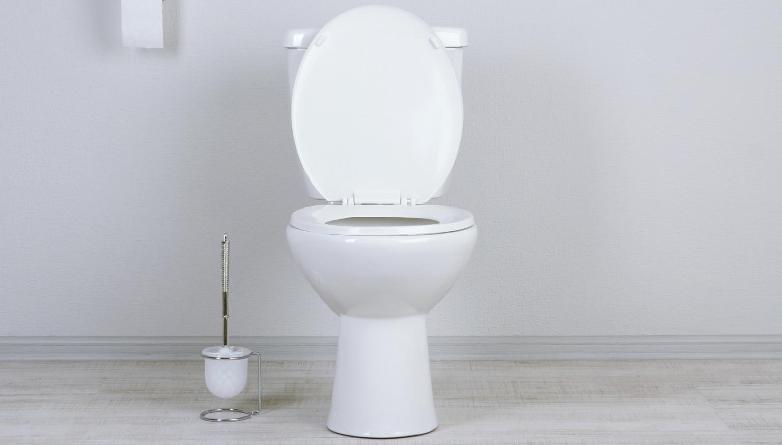 This is the most hygenic way to go to the toilet | Nova 100